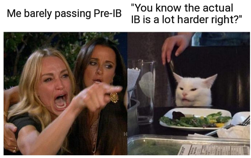 Pre-IB memes | Tiluttelua